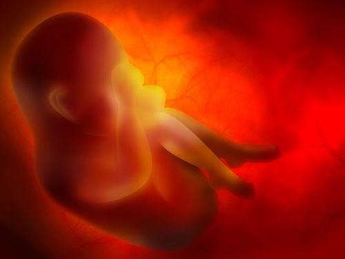 Childbirth Stations (Vertex Positions) - theAsianParent