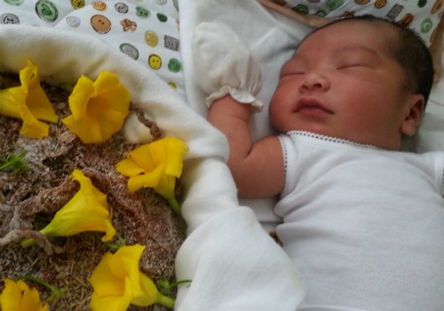 Lotus Birth in the Philippines - Find out if this birth plan is for you