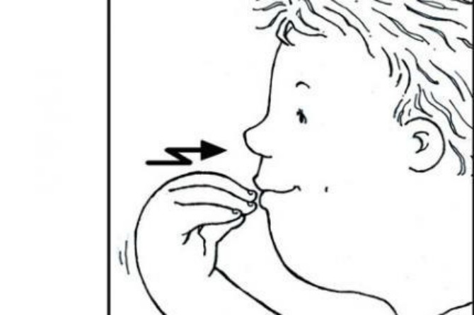 How To Communicate Using Sign Language for Babies and Toddlers