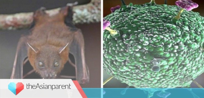 Nipah Virus Symptoms, Prevention And More: Information For Parents