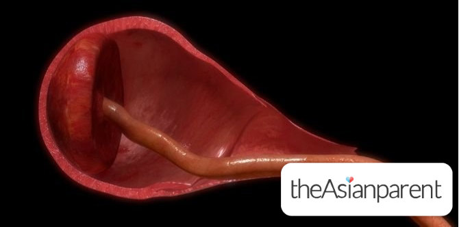 Placenta Delivery or Placenta Expulsion: Here's What You Need To Know