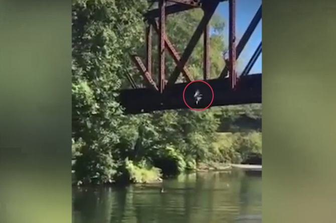 This Video Shows A Mother Cheering As Her Child Is Thrown Off A Bridge