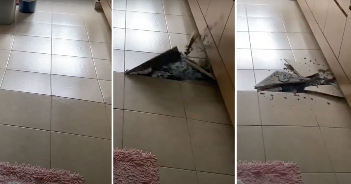 What Causes Floor Tiles To Pop Up | Viewfloor.co