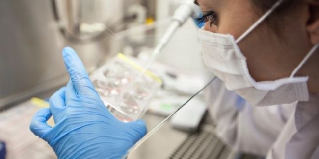 Genetic Testing Of IVF Embryos Overseas: What You Should Know