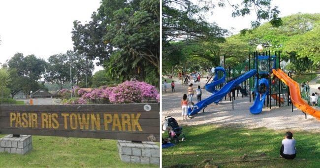 Pasir Ris Park: 7 Parks In Pasir Ris You Must Visit With Your Kids