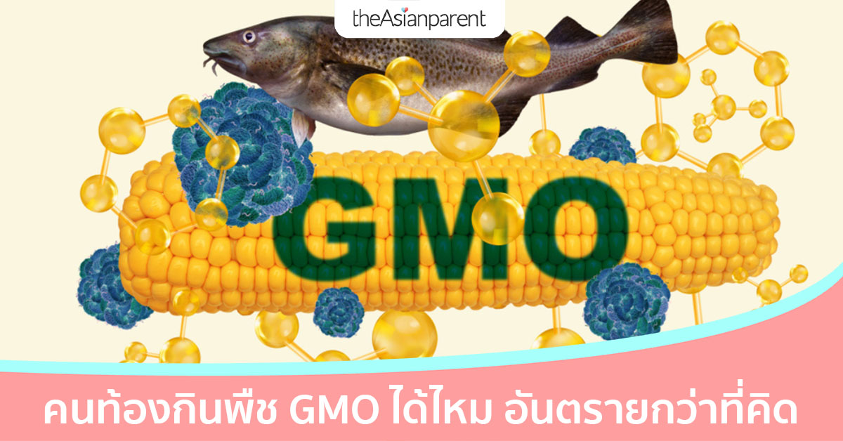คนท้องกินพืช GMO ได้ไหม พืชตัดแต่งพันธุกรรมทำไมไม่ปลอดภัย